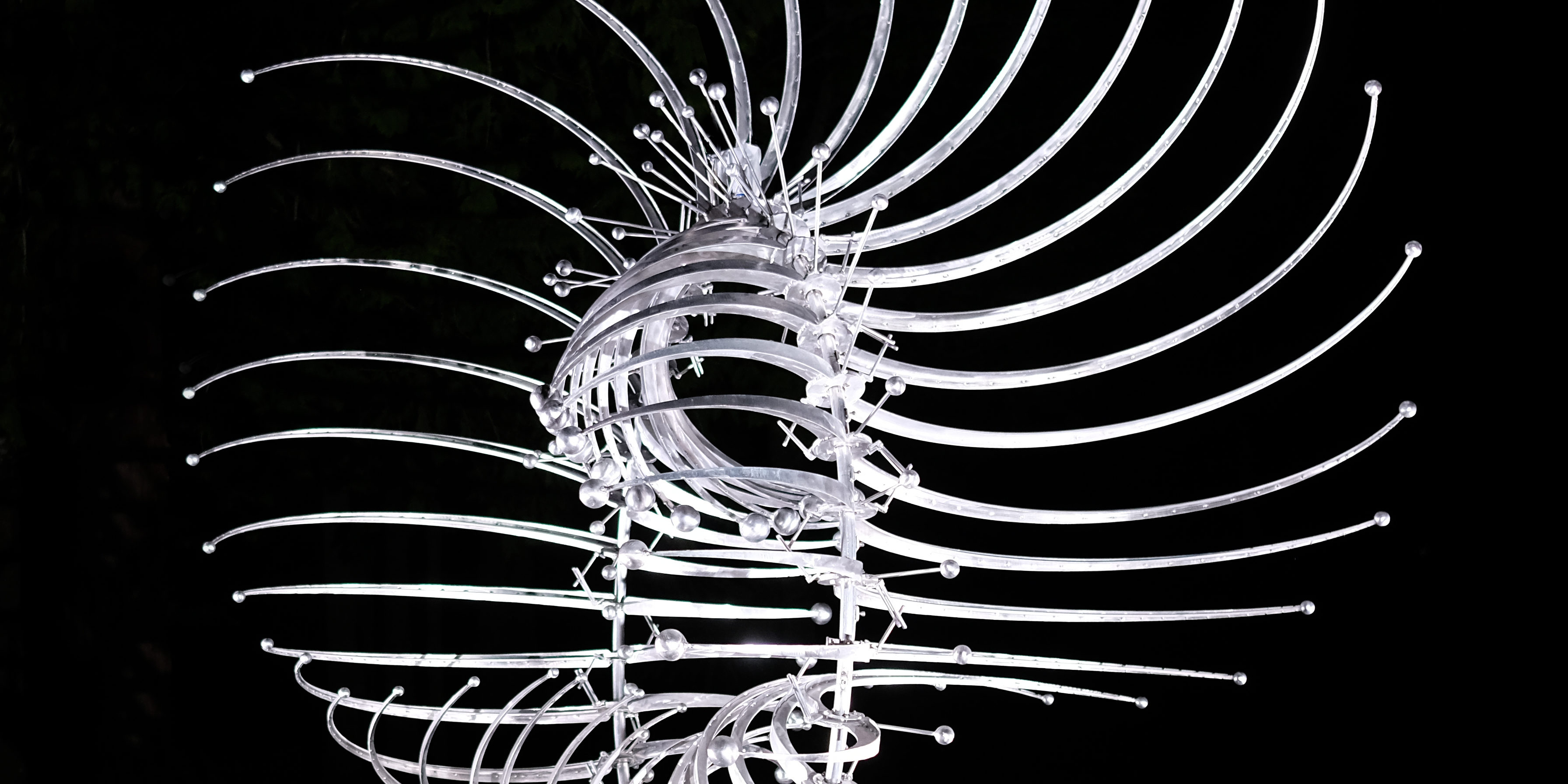 Special Award from the President to Anthony Howe - FB - Florence Biennale